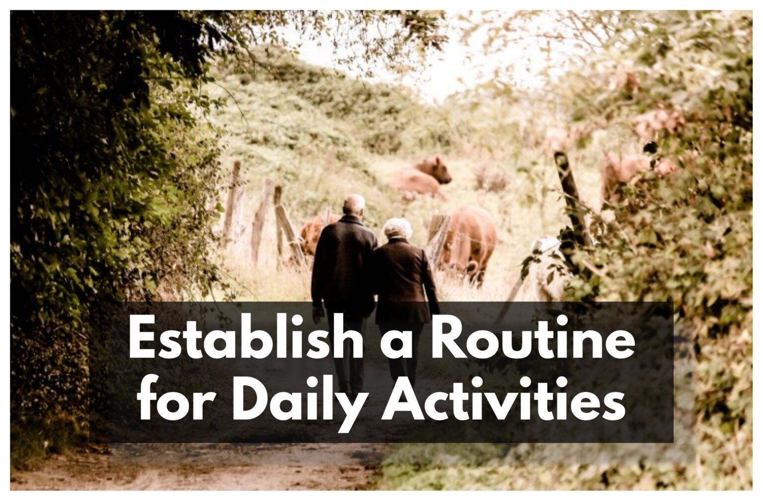 7 Best Strategies of Caring for Someone with Dementia