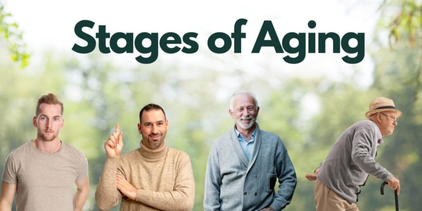 A Better Look at the Stages of Aging